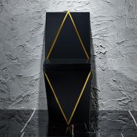 China One Piece Washdown Sanitary Ware Toilet Black Gold Graphic Design for sale