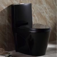 China 300mm 400mm Roughing In Siphonic One Piece Toilet Dual Flush 3/6L Ceramic WC for sale