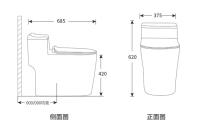China One Piece Dual Flush Sanitary Ware Toilet Floor Mounted 3D Design for sale