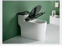 China One Piece Dual Flush Sanitary Ware Toilet Floor Mounted 3D Design for sale