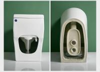 China One Piece Dual Flush Sanitary Ware Toilet Floor Mounted 3D Design for sale