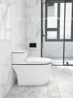China White Gold Siphon Flushing Modern Toilet Bowl Ceramic One Piece for sale