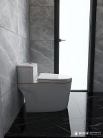China White Gold Siphon Flushing Modern Toilet Bowl Ceramic One Piece for sale