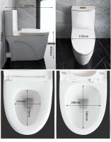 China Fully Glazed Flushing Sanitary Ware Toilet 1 Piece Comfort Height for sale