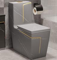 China Siphon Flushing Floor Mounted Black White Toilet S Trap Hotel Design for sale