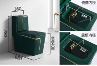 China One Piece Ceramic Toilet 300mm 400mm Roughing In Siphon Flushing Dual Flush Luxury Green Gold for sale