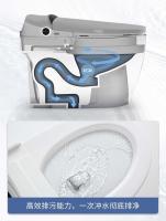 China 3L 6L Floor Mounted Smart Toilet Remote Control Siphonic Flushing for sale