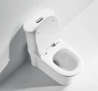 China S Trap Siphonic One Piece Toilet Gravity Flushing Bathroom Suites for sale