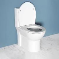 China Siphonic One Piece Water Closet Toilet Dual Flush Sanitary Ware for sale
