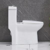 China Siphonic One Piece Water Closet Toilet Dual Flush Sanitary Ware for sale