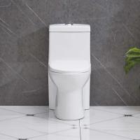 China Siphonic One Piece Water Closet Toilet Dual Flush Sanitary Ware for sale