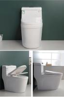 China Siphonic S Trap 300mm Sanitary Ware Toilet Modern Comfort Height for sale