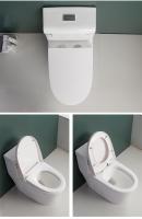 China Siphonic S Trap 300mm Sanitary Ware Toilet Modern Comfort Height for sale