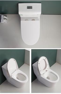 China Siphonic S Trap 300mm Sanitary Ware Toilet Modern Comfort Height for sale