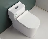 China S Trap One Piece Chair Height Toilet Dual Flush 220mm Pit Spacing Siphon Flushing for sale