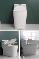 China S Trap One Piece Chair Height Toilet Dual Flush 220mm Pit Spacing Siphon Flushing for sale