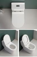 China S Trap One Piece Chair Height Toilet Dual Flush 220mm Pit Spacing Siphon Flushing for sale