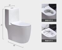 China Dual Flush Washdown Siphonic One Piece Toilet Models P Trap S Trap for sale