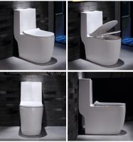 China Dual Flush Washdown Siphonic One Piece Toilet Models P Trap S Trap for sale