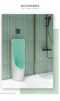 China 340*270*750mm WC Wall Mounted Urinal Toilet For Men Sanitary Ware for sale