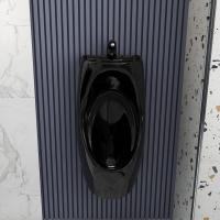 China Convenient Hygienic Wall Hung Urinal 740*310*350mm Built In Filter for sale