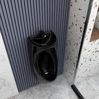 China Convenient Hygienic Wall Hung Urinal 740*310*350mm Built In Filter for sale