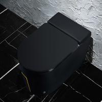 China Black One Piece Smart Toilet 615x360x455mm Floor Mounted Ceramic with Soft Close Seat for sale