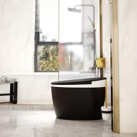 China Smart Intelligent Toilet One Piece Siphonic Bidet with Seat Heating 3L 6L Flush for sale