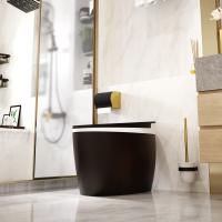 China Automatic Flushing Smart Toilet Self Cleaning Power Saving 680x420x480mm Black Gold for sale