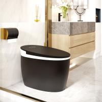 China Automatic Flushing Smart Toilet Self Cleaning Power Saving 680x420x480mm Black Gold for sale