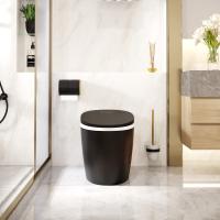 China Automatic Flushing Smart Toilet Self Cleaning Power Saving 680x420x480mm Black Gold for sale