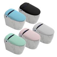 China One Piece Siphonic Smart Bathroom Toilet Mix Pit Spacing 300mm for sale