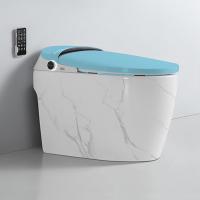 China One Piece Siphonic Smart Bathroom Toilet Mix Pit Spacing 300mm for sale