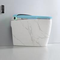 China One Piece Siphonic Smart Bathroom Toilet Mix Pit Spacing 300mm for sale