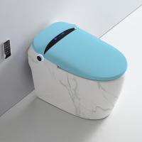 China One Piece Siphonic Smart Bathroom Toilet Mix Pit Spacing 300mm for sale