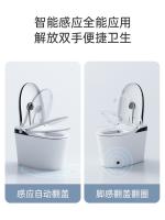 China Siphon Flushing Smart Flush Toilet One Piece Intelligent Self Washing for sale