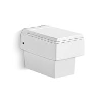 China White P Trap Rimless Wall Hung One Piece Toilet Bowl with Bidet Soft Close Seat for sale