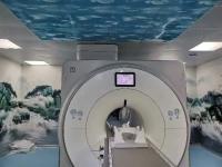 China Customizable RF Shielding Room with 100dB Shielding Effectiveness Compliant with MIL-STD-285 and IEEE 299 for Faraday Cage MRI Applications for sale