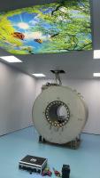 China Class A Fire Rating RF Shielding Room with 100dB Stopband Attenuation and Copper Mesh Grounding System for sale