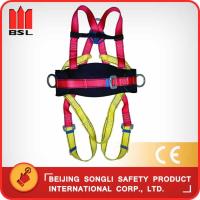 China SLB-TE5124A Safety Harness with 45mm Terylene Webbing, 6 Adjustment Buckles and CE Certification for Industrial Fall Protection for sale