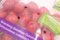 China PE PP CPE OPP Recycled Clear Plastic Bags High Recyclability for sale