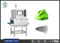 China 10-70m/min Speed X Ray Inspection System for Fruit And Vegetable Food Foreign Matters for sale