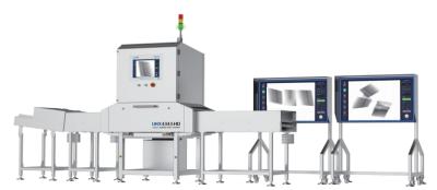 China High resolution X ray Inspection fish bones inside frozen fast food UNICOMP UNX4343 for sale