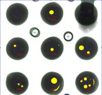 China PCB digital Unicomp AX9100 X-Ray Inspection machine for printed circuit board inspection for sale