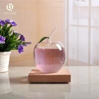 China Useful Promotion Personalized apple shaped weather forecast bottle for christmas gift for sale