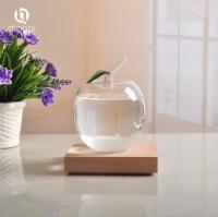 China Useful Promotion Personalized apple shaped weather forecast bottle for christmas gift for sale