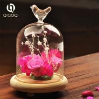 China Eco Friendly Logo Printed decoration mini glass dome for sale