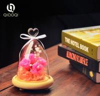 China China supplier manufacture Sale Promotional Custom glass dome for decoration for sale