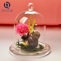China Bottom Price Modern Professional round mini glass dome for sale
