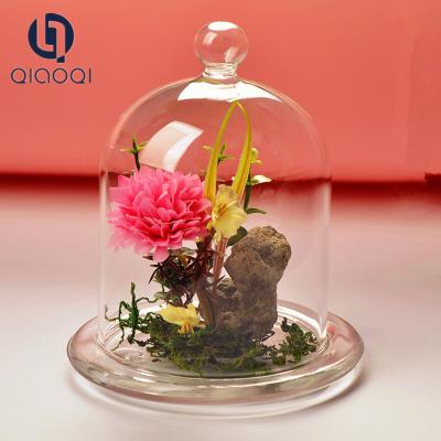 China Bottom Price Modern Professional round mini glass dome for sale